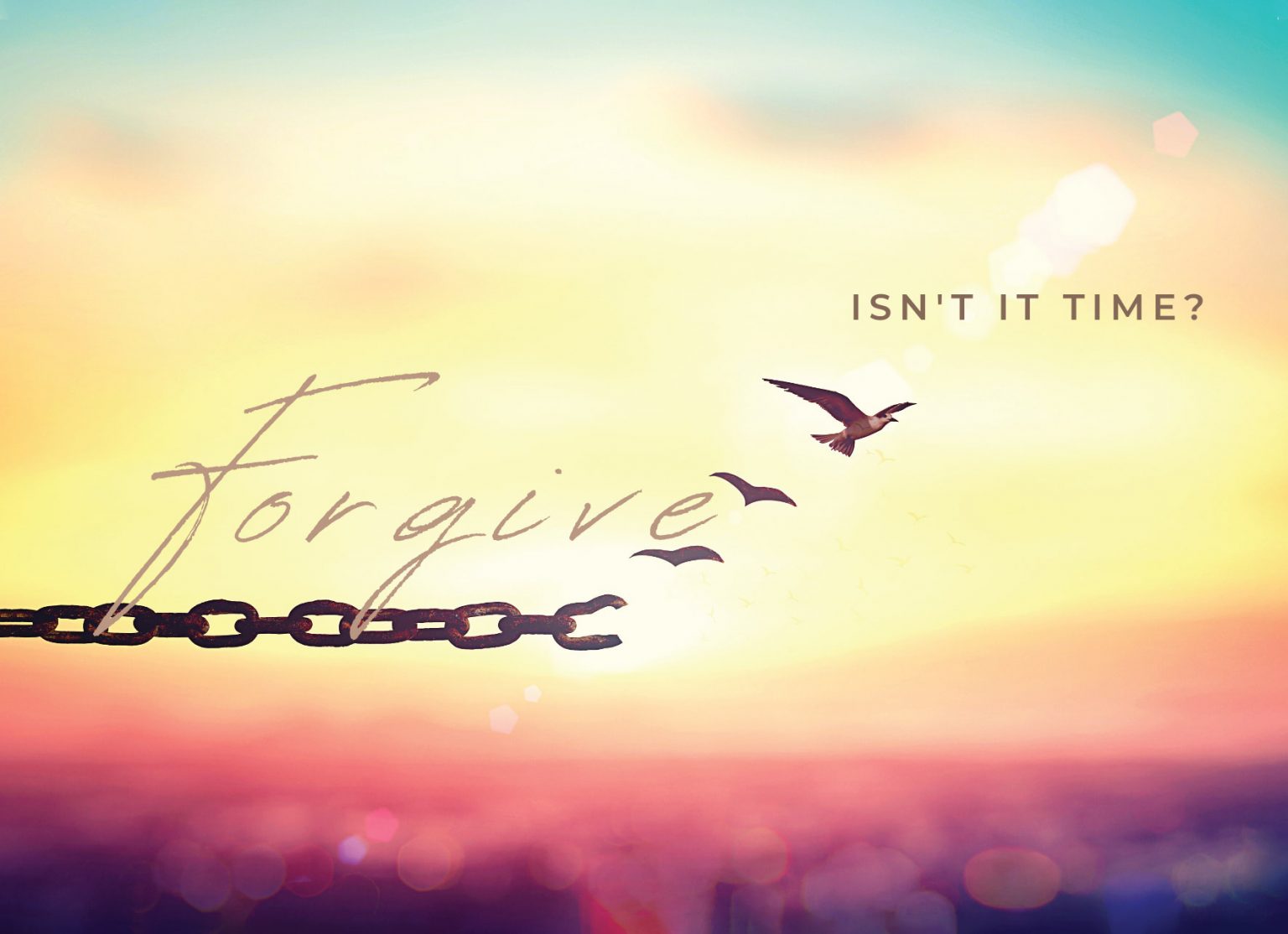 Forgive Stories – Sharing the Wonder of Heartfelt Forgiveness